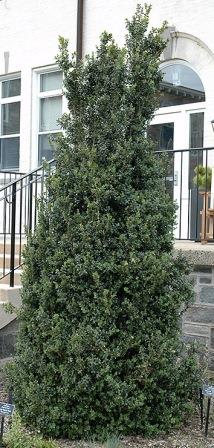 Hawksridge Farms -- Plant Information